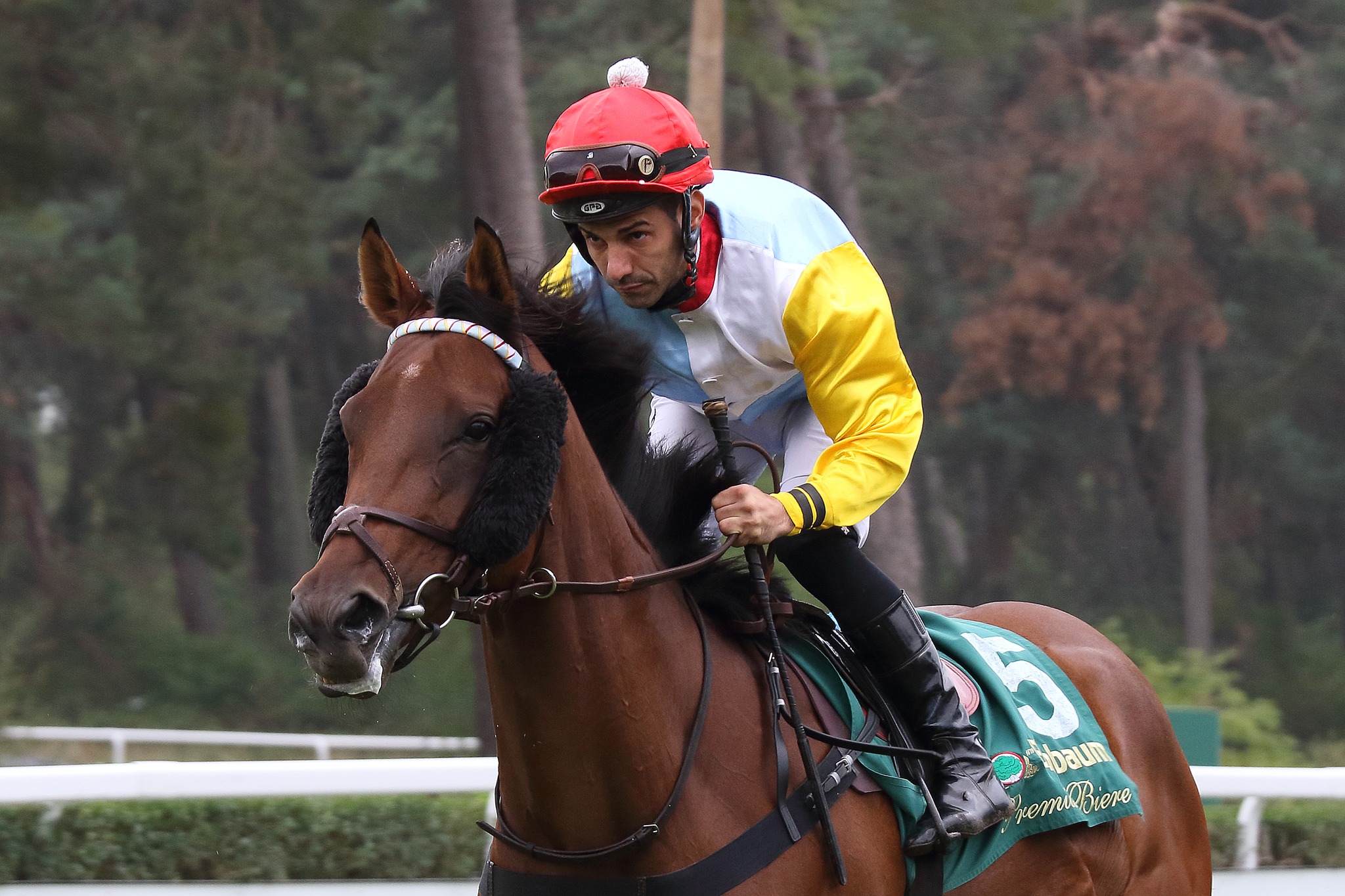 Kommt das Beste zum Schluss? - Galopp Club Süddeutschland